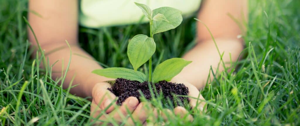 Grounding 101: What is Earthing and How Does it Work?