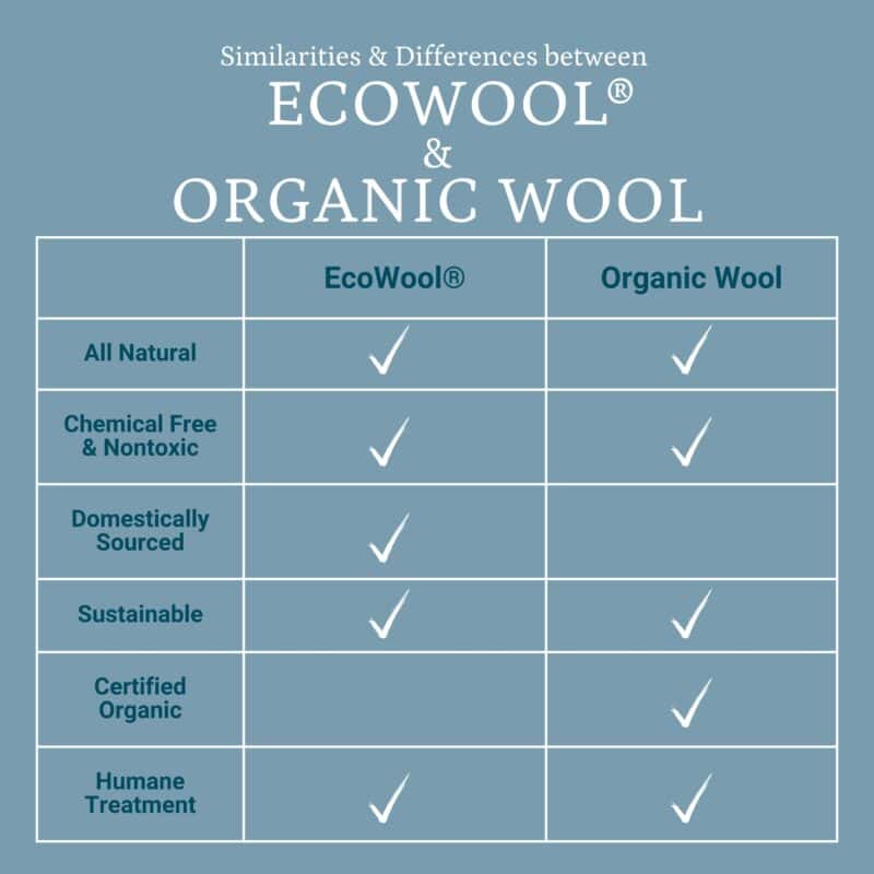 Discovering the Differences Between EcoWool® and Organic Wool - Shepherd's Dream
