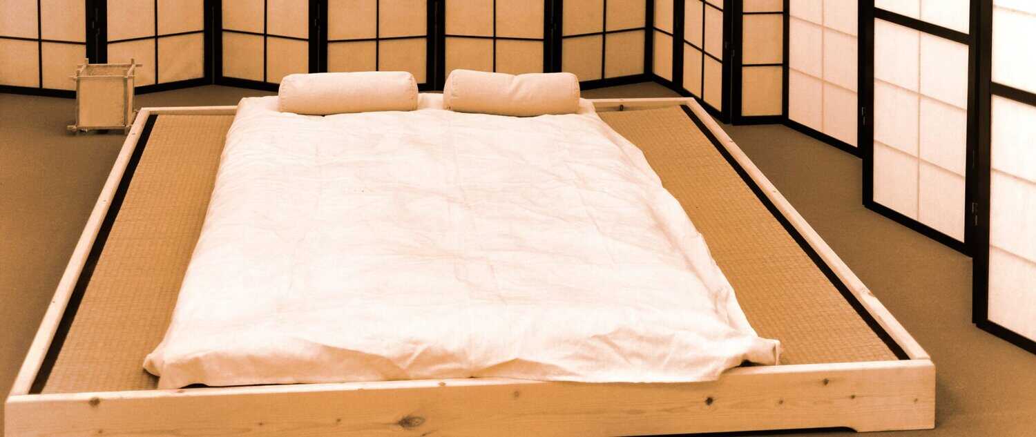 The Evolution of Comfort: Beds and Pillows Through the Ages - Shepherd ...