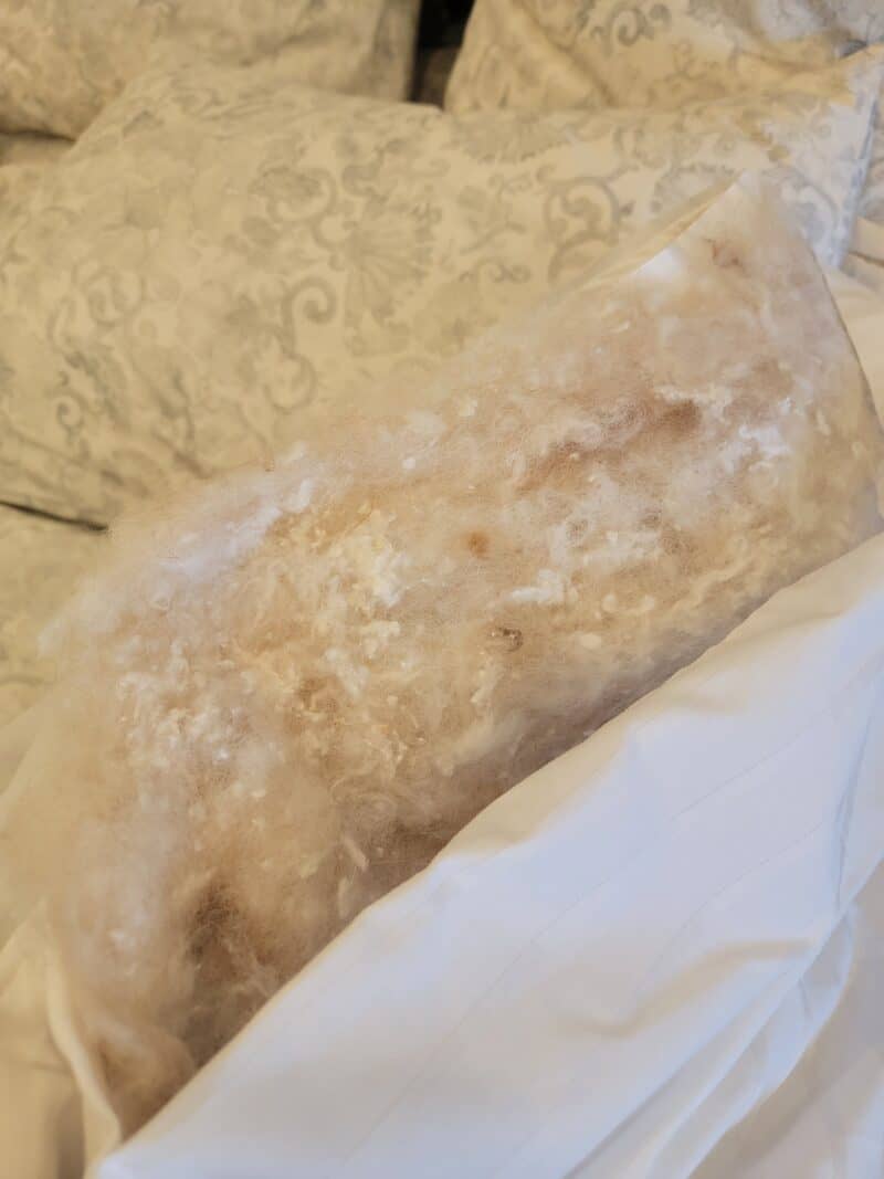 Ultralight Alpaca Comforter - Shepherd's Dream