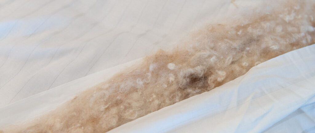 Fall in Love with Our Ultralight Alpaca Comforter - Shepherd's Dream