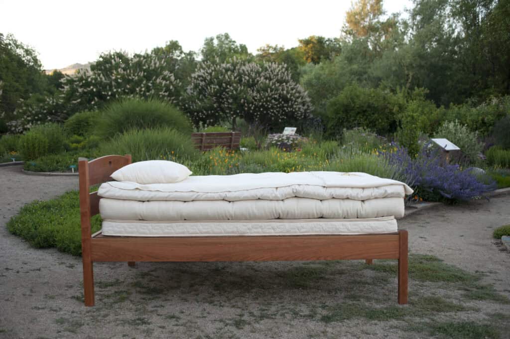 The Evolution of Beds | When Did Humans Start Using Pillows?